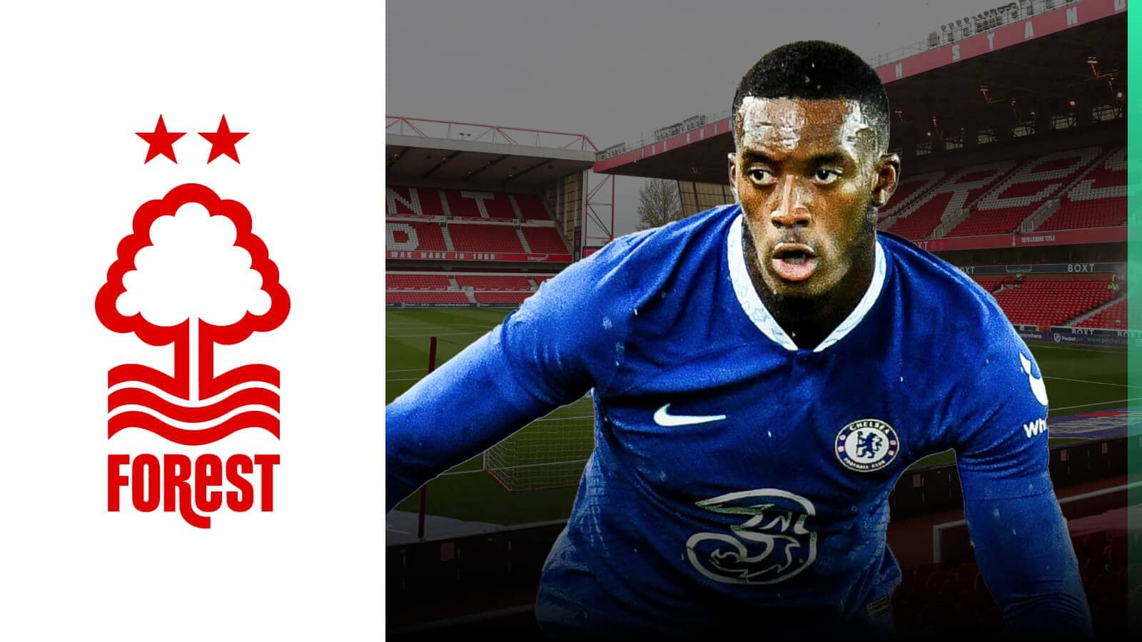 OFFICIAL: Chelsea sell Callum Hudson-Odoi for just £3m | Chelsea News